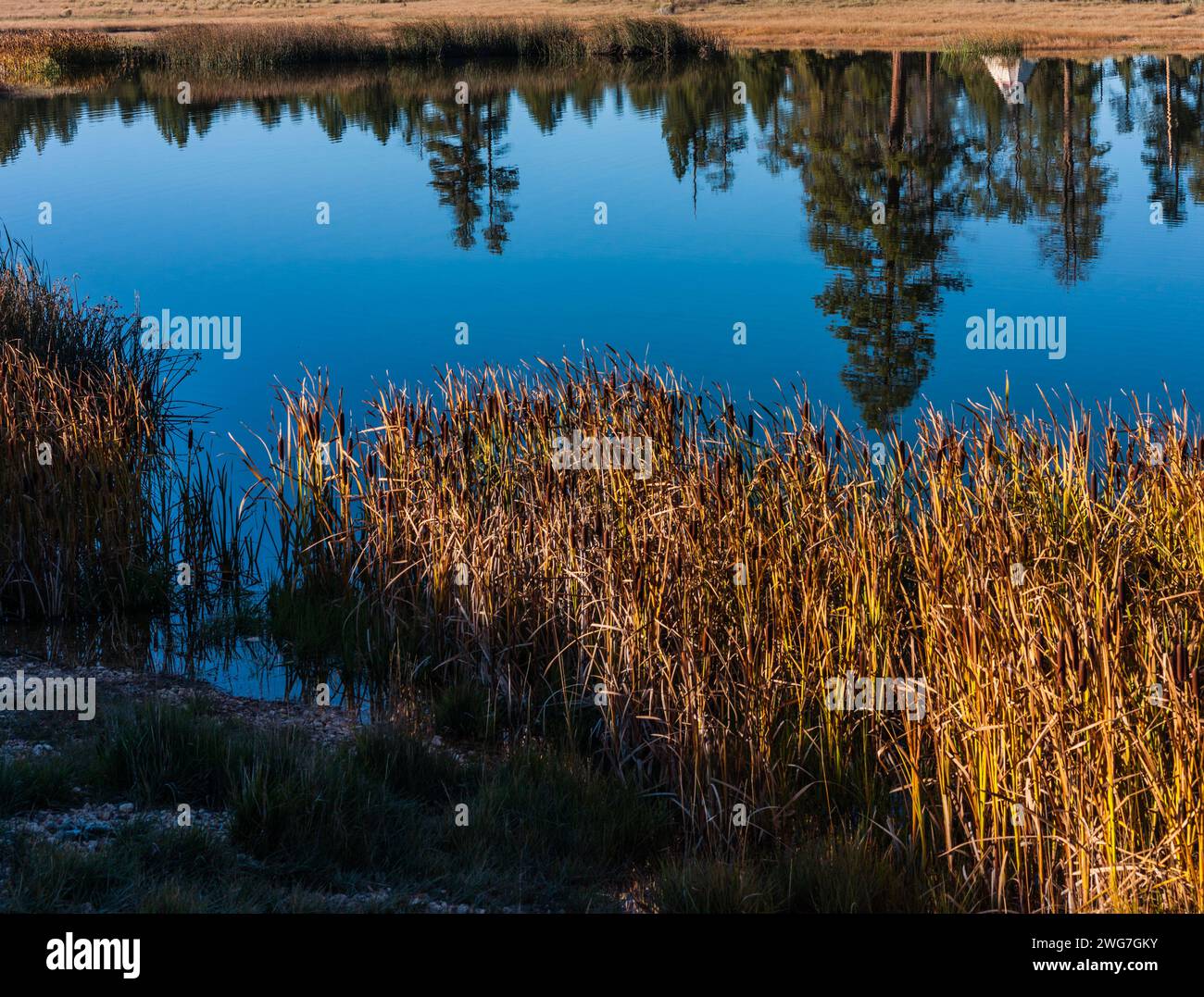 USA, State of Utah. Garfield County. An Indian teepee mirrored in a ...