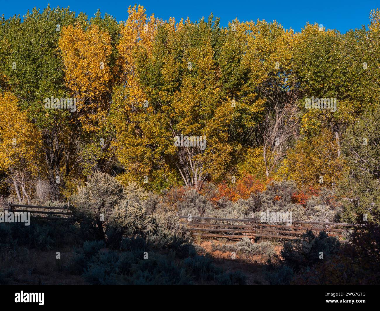 Garfield county hi-res stock photography and images - Alamy