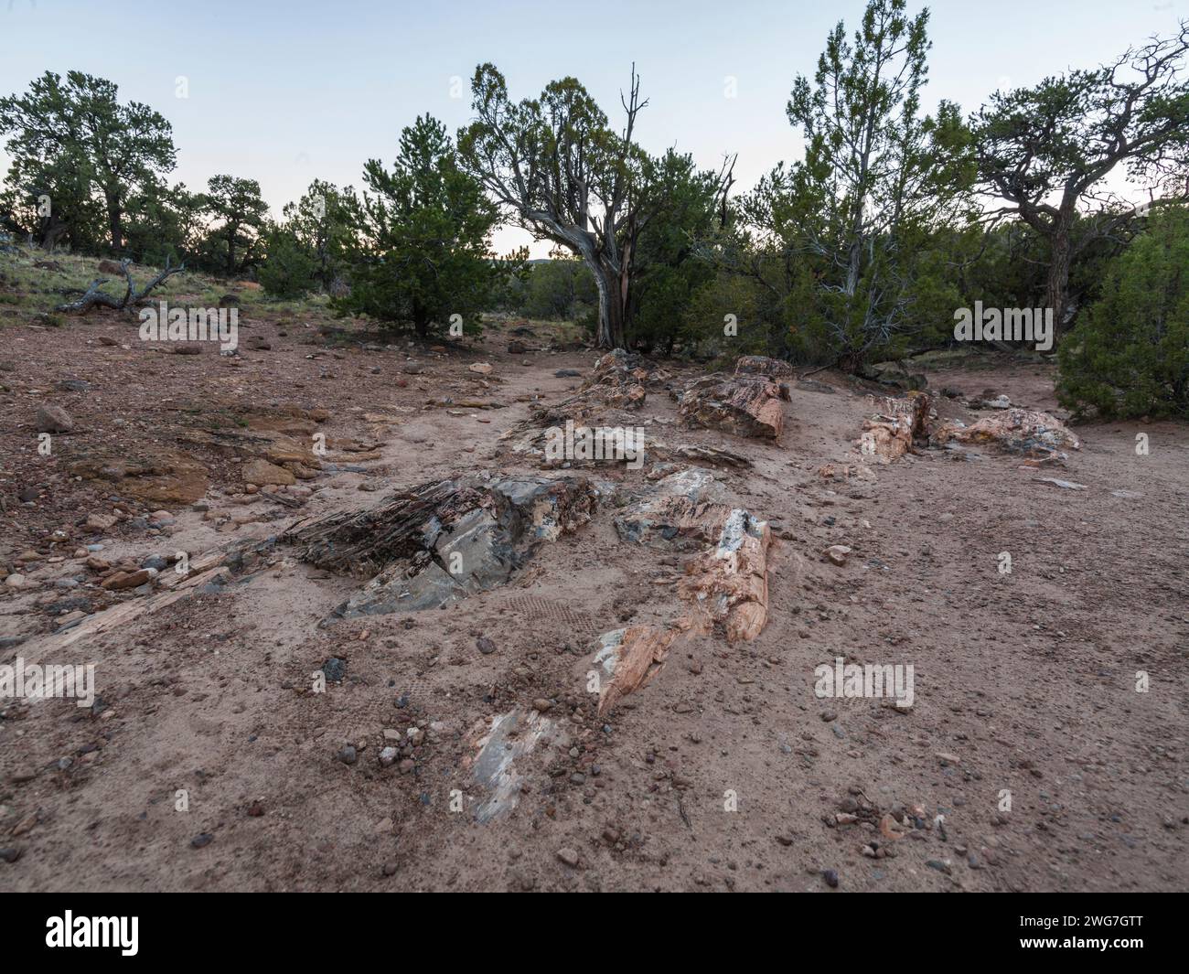 USA, State of Utah. Garfield County. Escalante Petrified Forest State ...