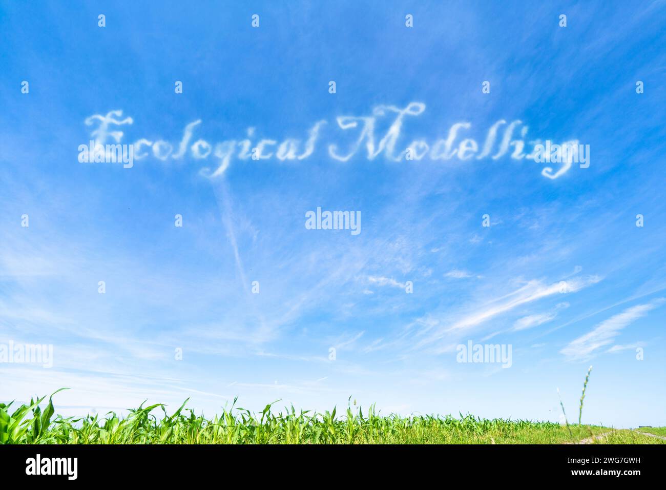 Ecological Modelling Using Computer Models To Simulate And Understand Ecosystem Dynamics Stock