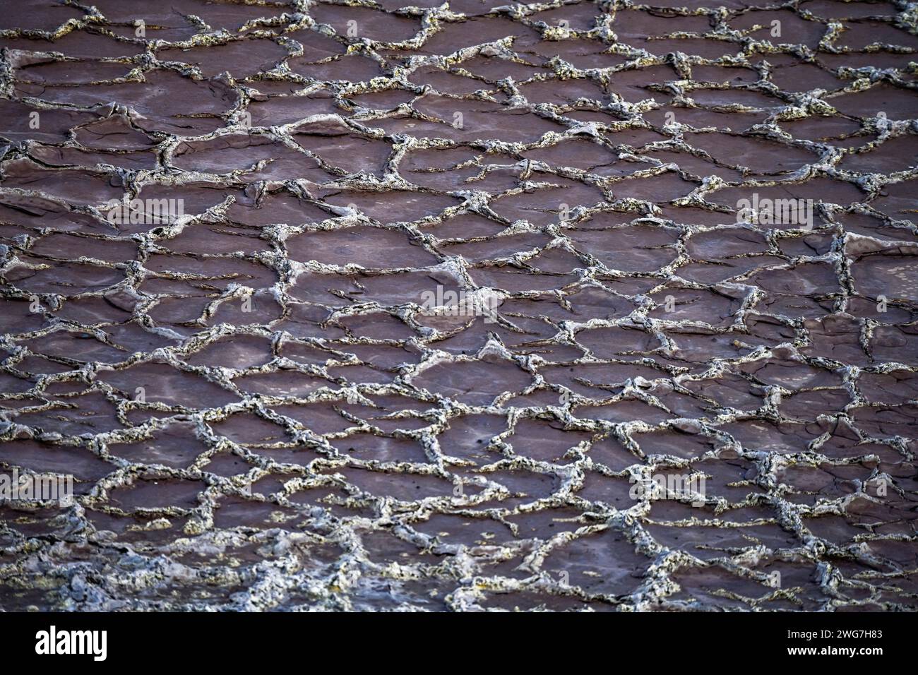 Textured Patterns of Evaporated Mineral Ponds in Rio Tinto Stock Photo ...