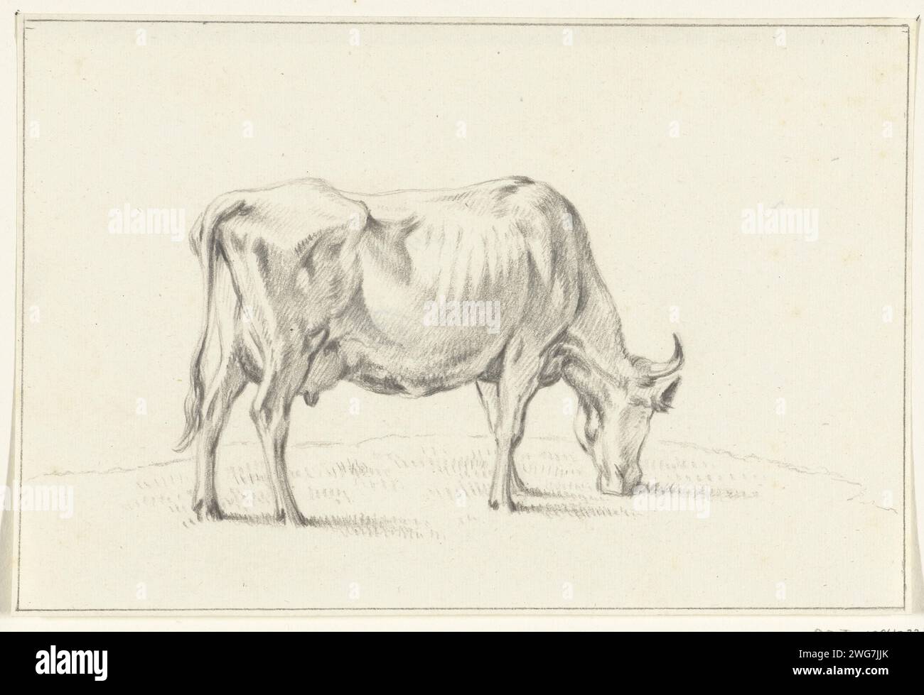 Grazing cow, to the right, Jean Bernard, 1775 - 1833 drawing paper ...