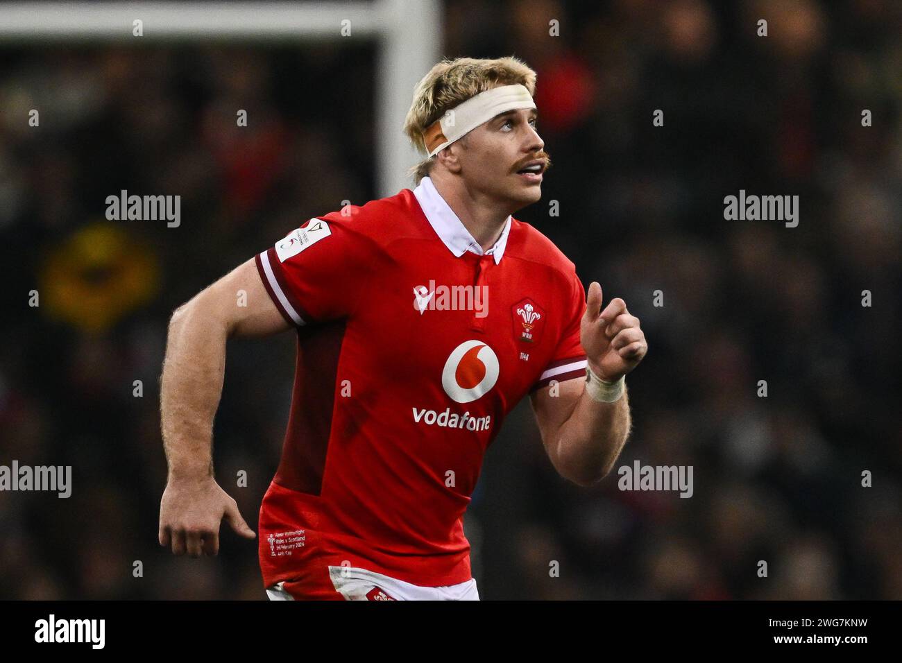 Aaron Wainwright of Wales during the 2024 Guinness 6 Nations match ...