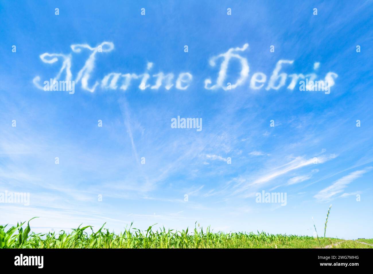 Marine Debris: Accumulation of human-generated trash in oceans, harming ...