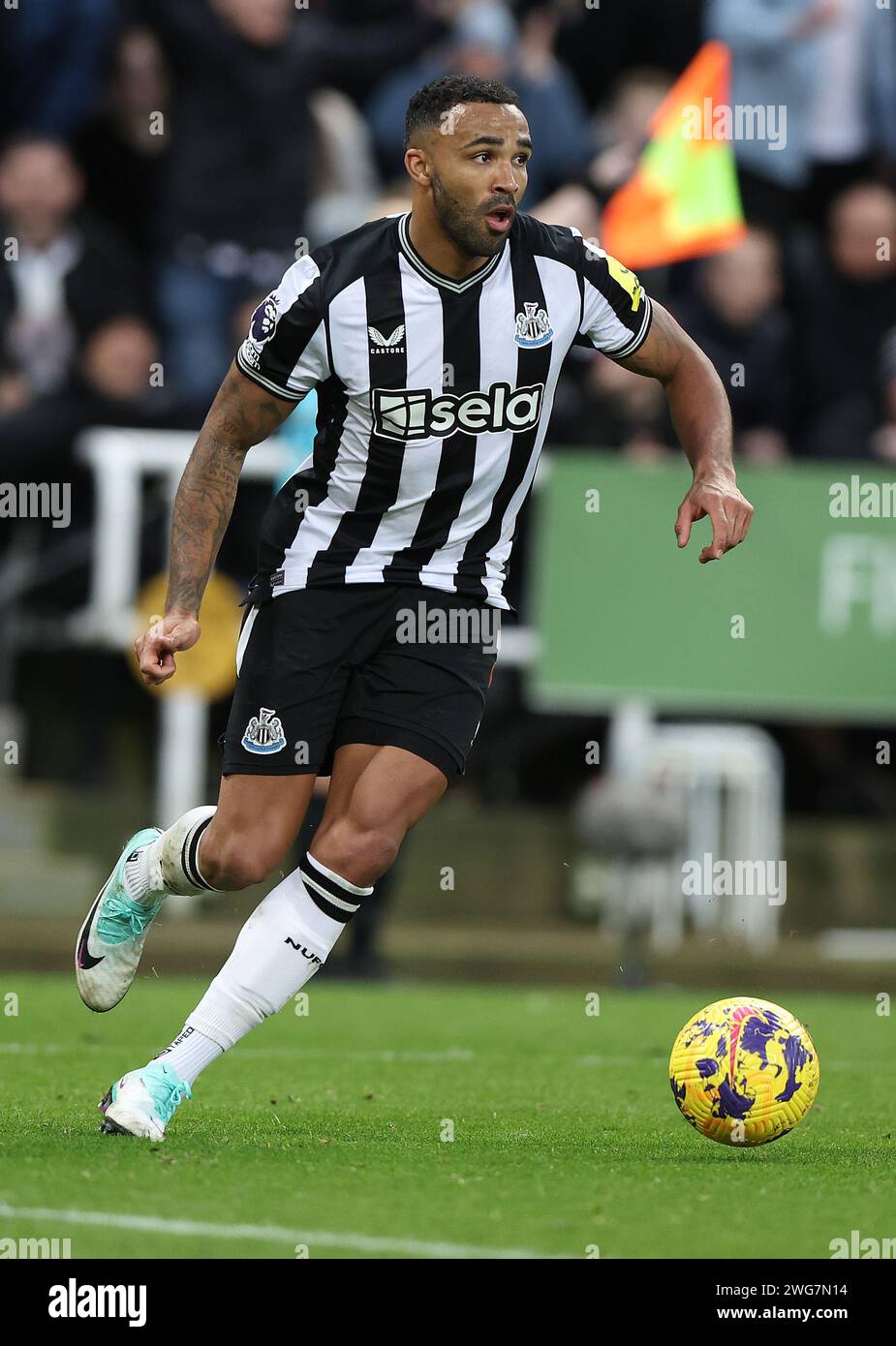 Callum wilson newcastle united 2024 hi-res stock photography and images ...
