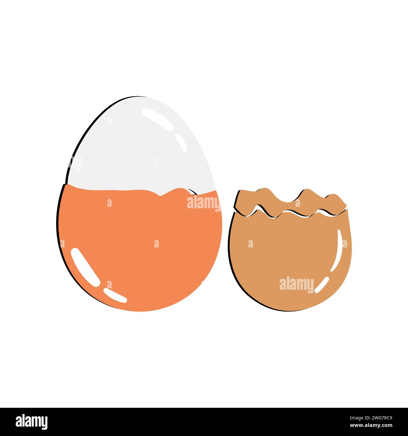 Egg vector illustration, Collection of whole, broken, fried, yolks, eggshells and boiled eggs ...