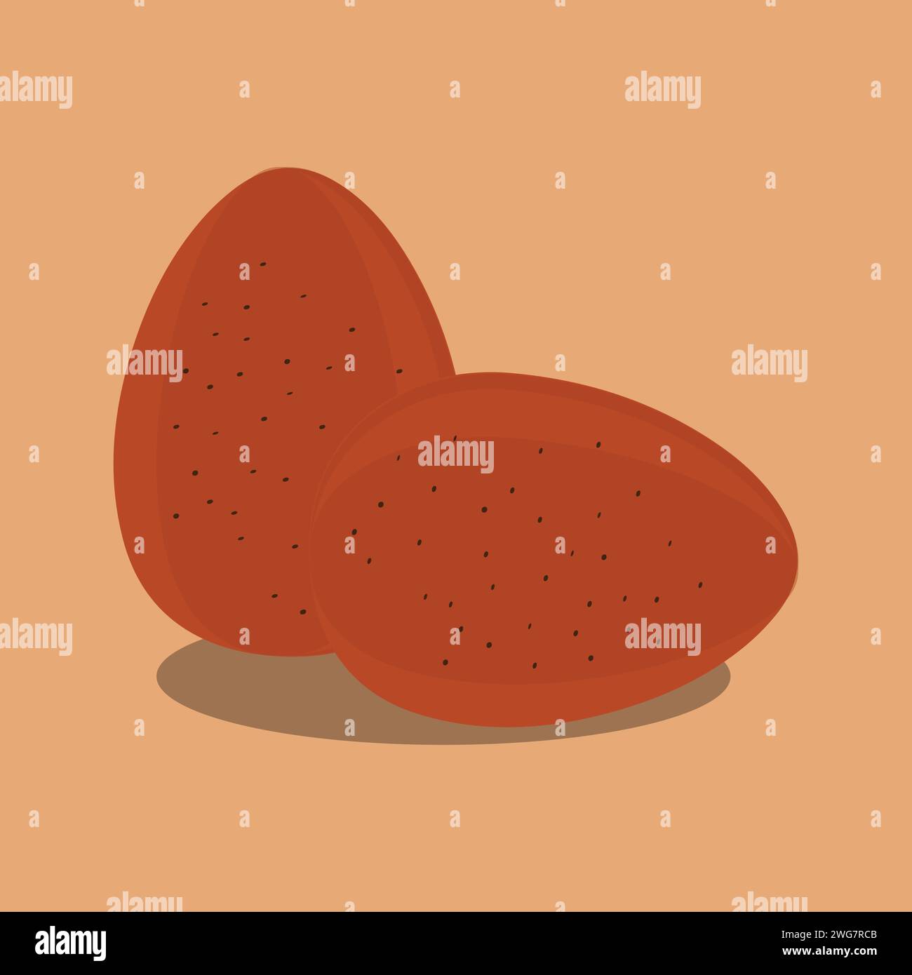 Egg vector illustration, Collection of whole, broken, fried, yolks, eggshells and boiled eggs ...