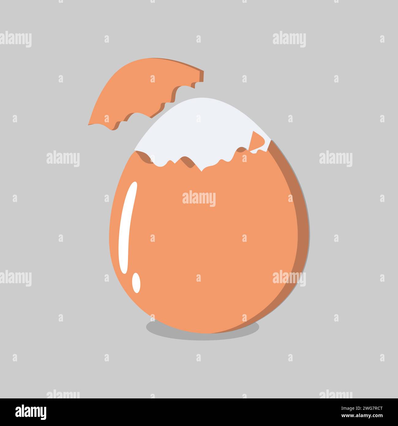 Egg vector illustration, Collection of whole, broken, fried, yolks, eggshells and boiled eggs ...