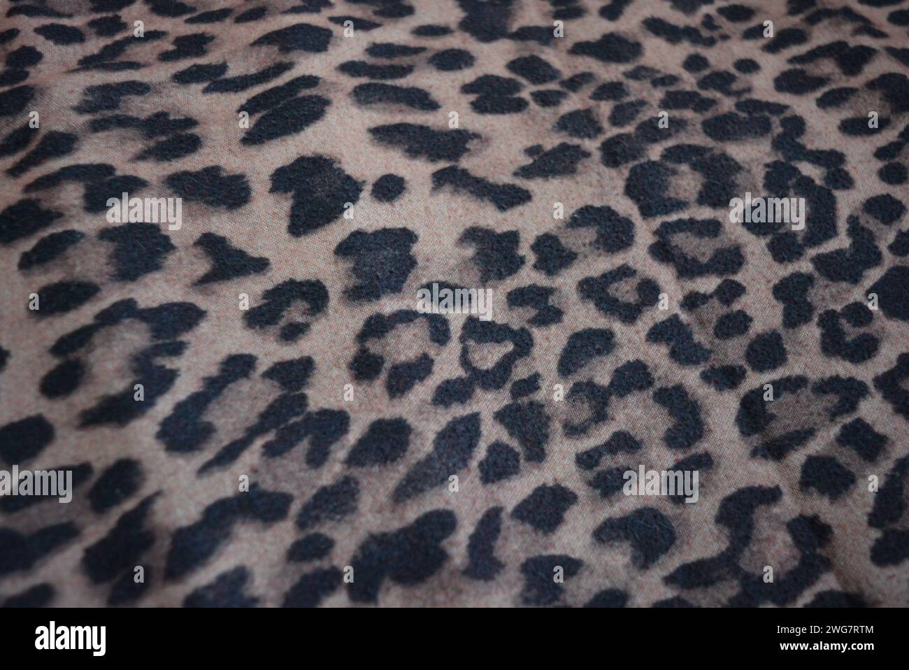 Very beautiful color of the leopard, leopard pattern black and beige ...