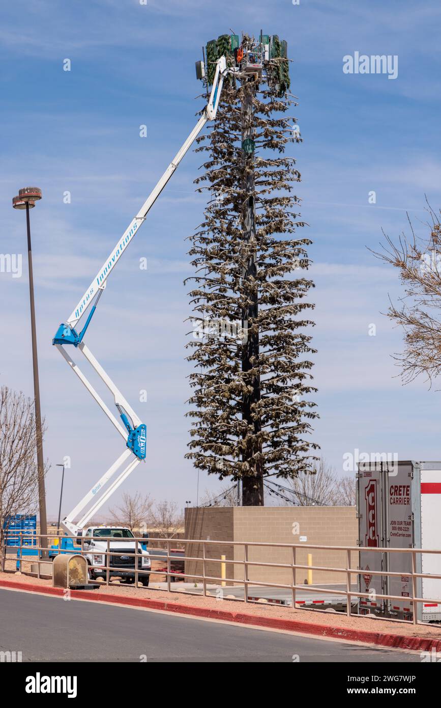 Workers in hydraulic lift truck repairing a cell tower disguised as a ...