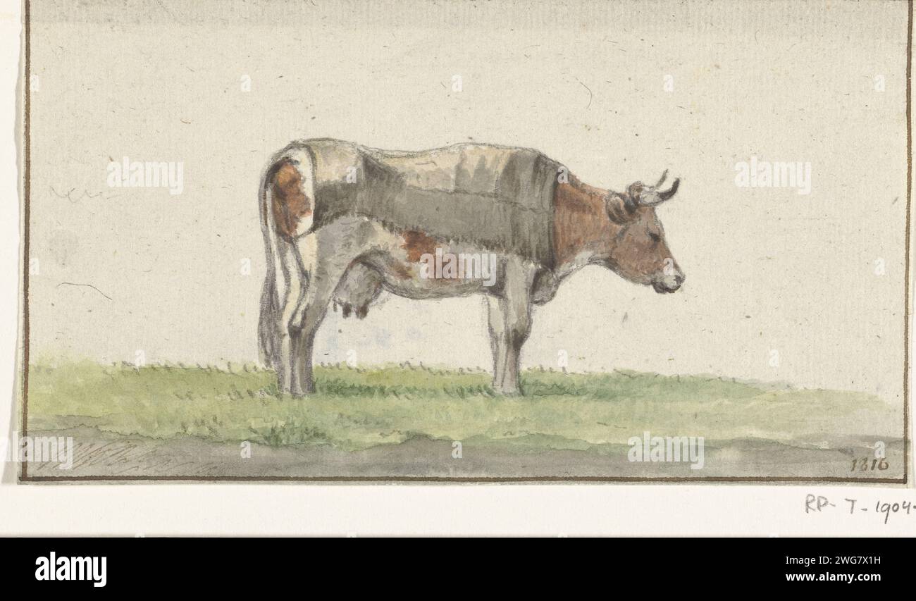 Standing cow, to the right, Jean Bernard, 1816 drawing paper ...