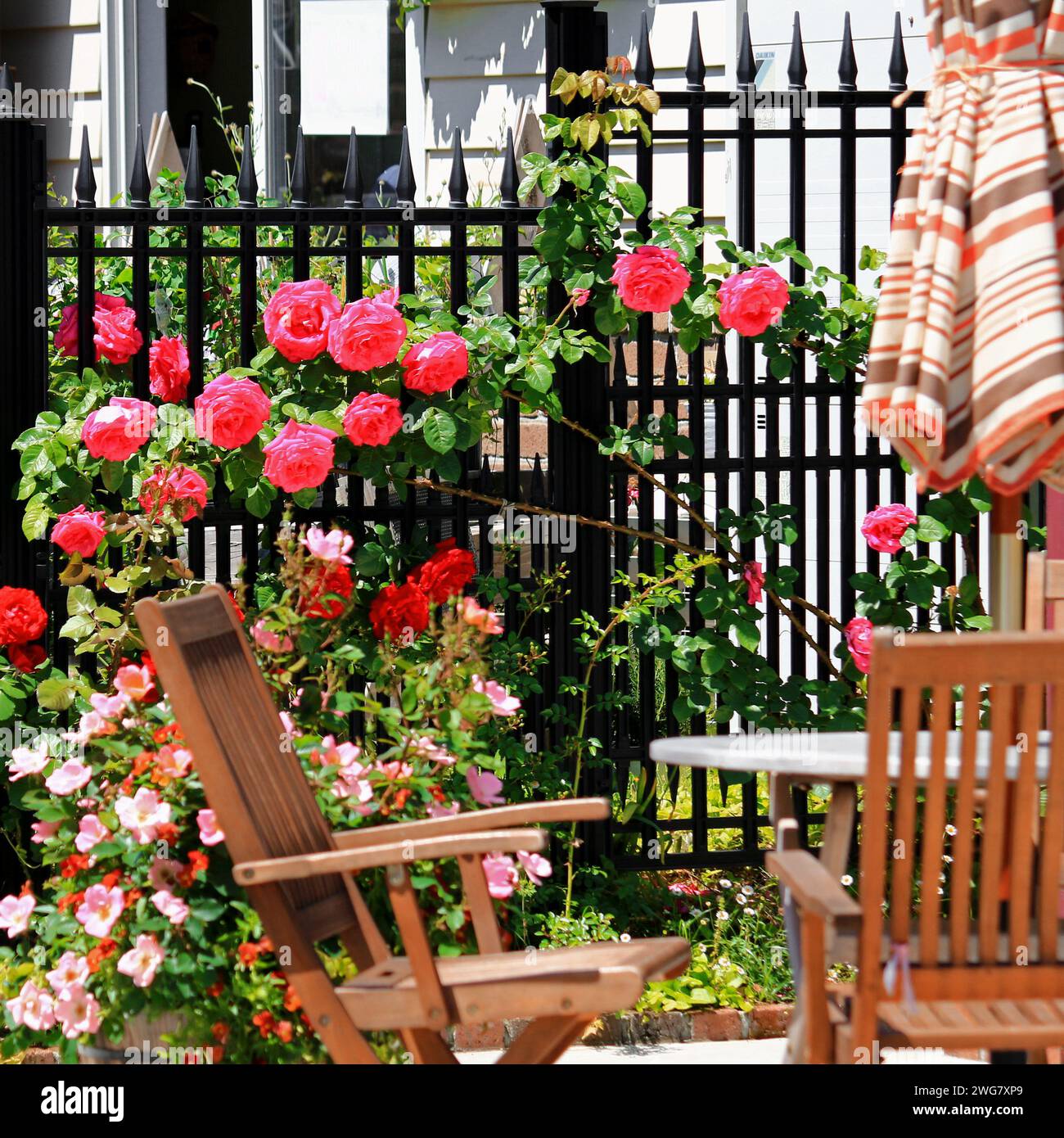 Terrace flower arrangement hi-res stock photography and images - Alamy