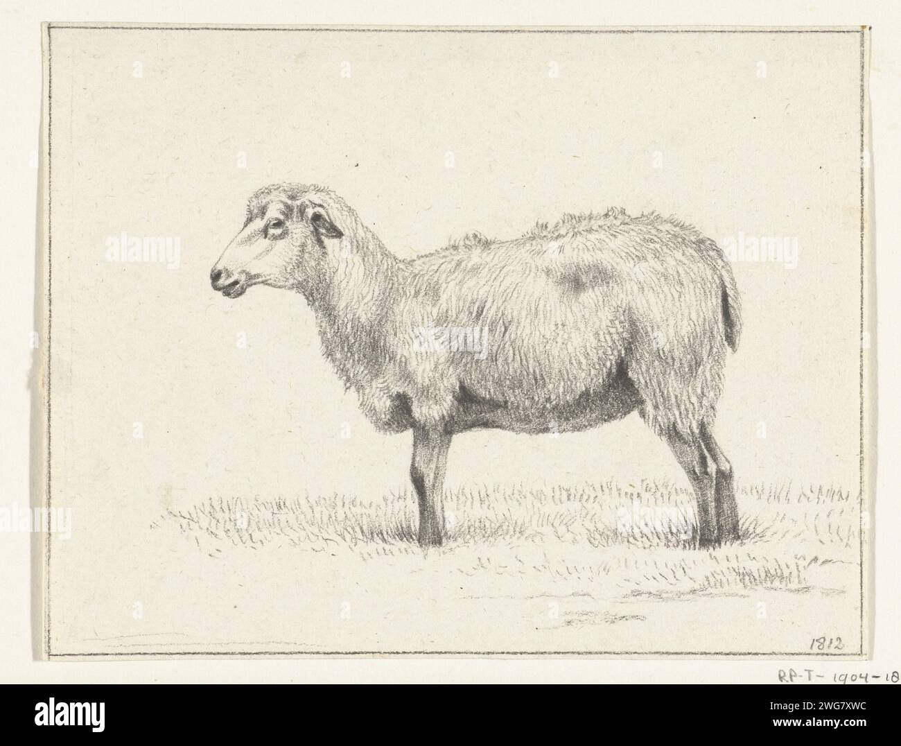 Standing sheep, to the left, Jean Bernard, 1812 drawing paper. pencil ...
