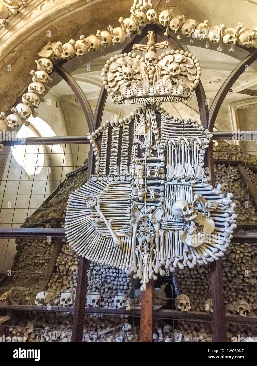 Medieval anatomy face hi-res stock photography and images - Alamy