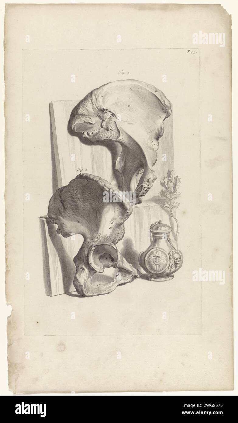 Anatomical study of De Hip, Pieter van Gunst, After Gerard de Lairesse ...