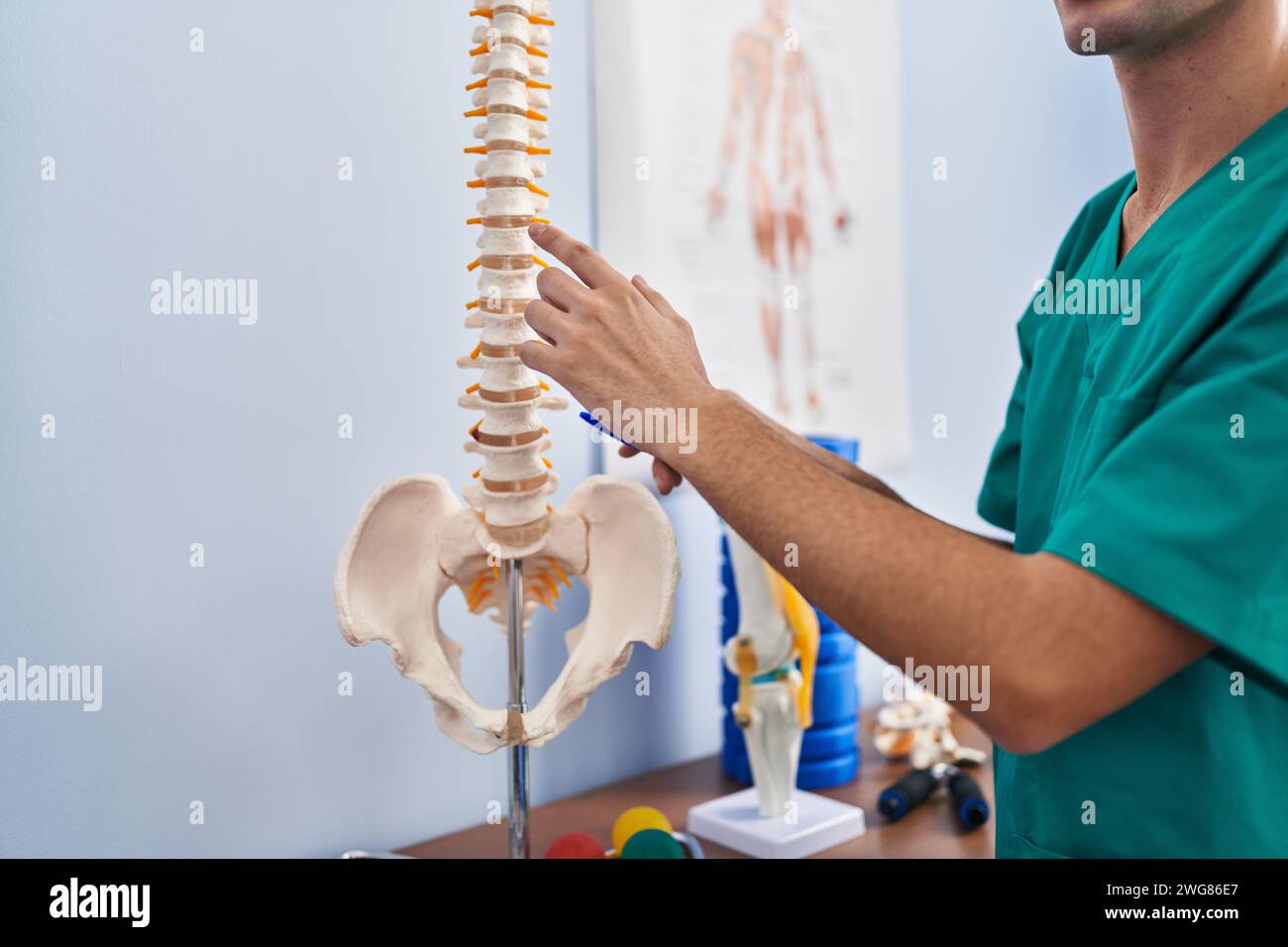 Young caucasian man physiotherapist touching anatomical model of spinal ...