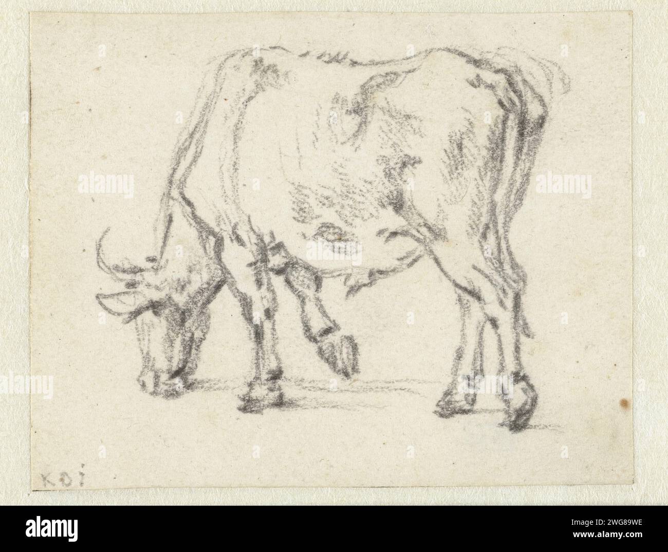 Grazende Koe, Karel du Jardin (Possible), 1632 - 1678 drawing paper ...