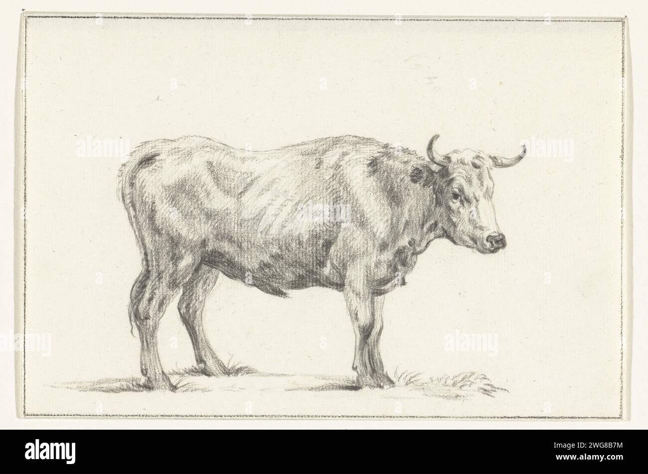 Standing bull, to the right, Jean Bernard, 1775 - 1833 drawing paper ...