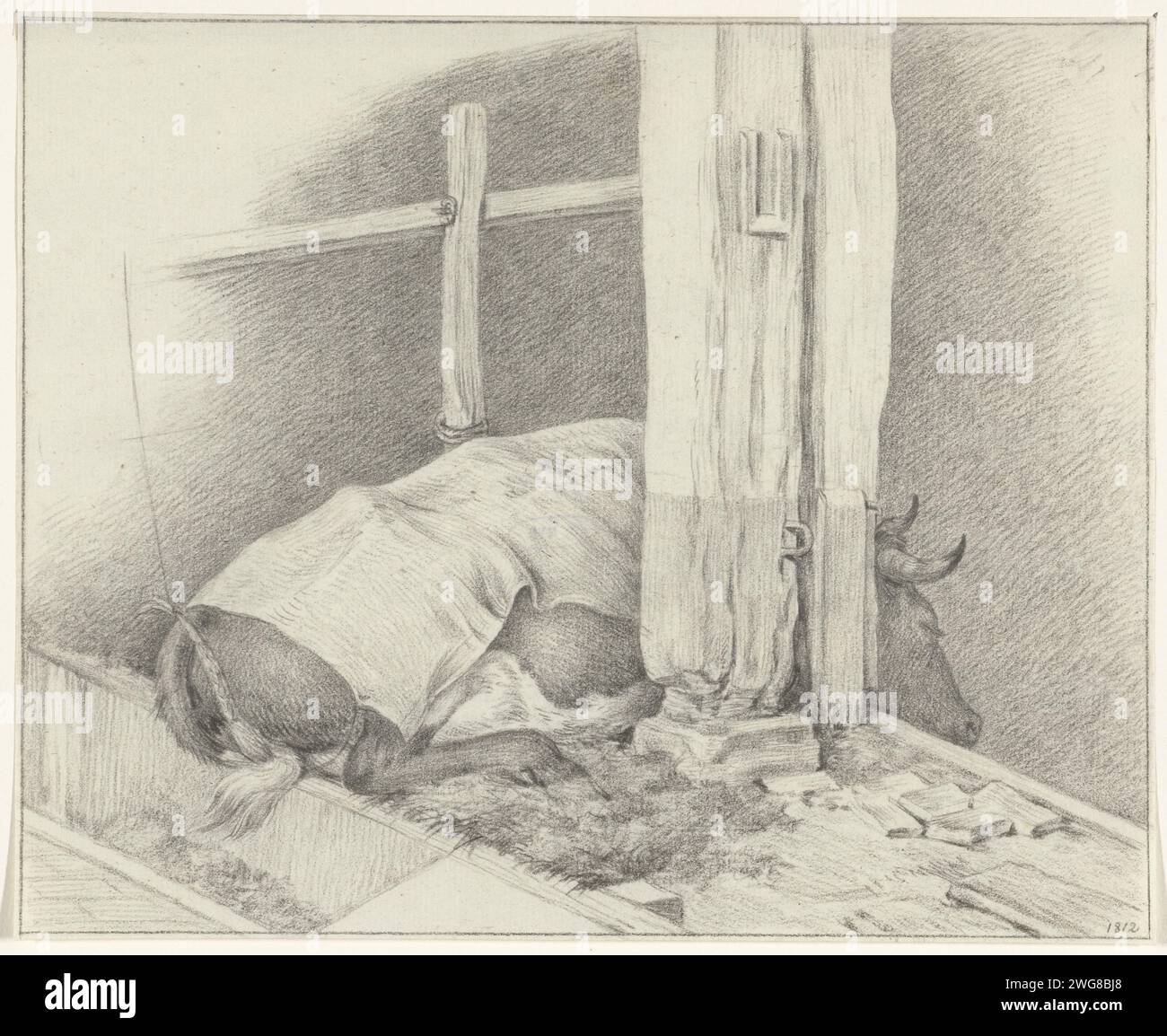 Cowed Cow in the Stable of Jean Bernard, 1812 drawing paper. chalk cow ...