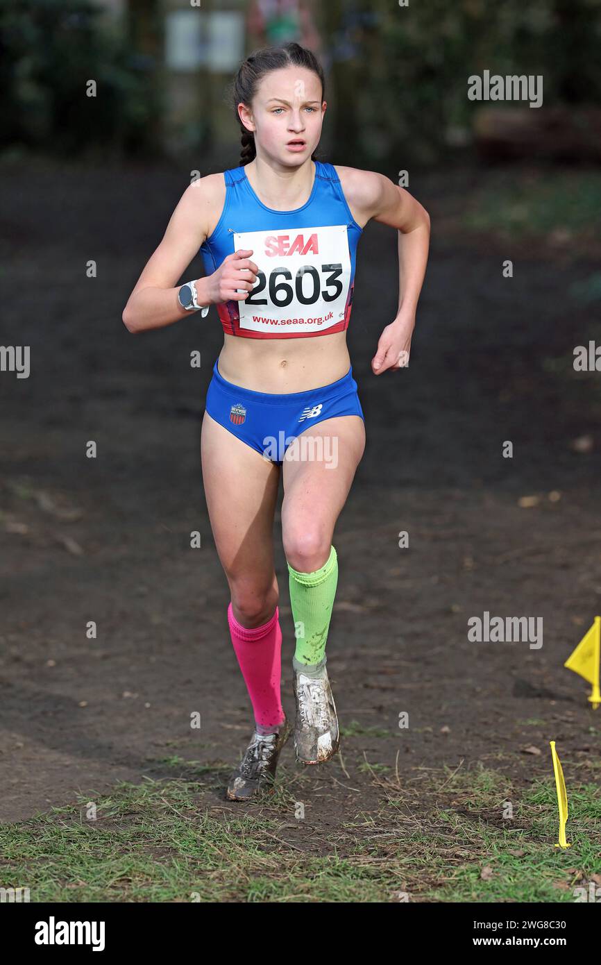 Olivia forest hi-res stock photography and images - Alamy