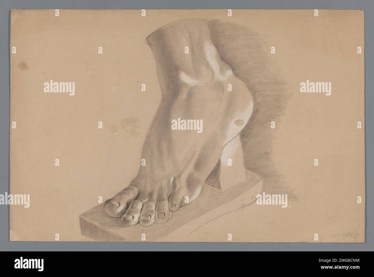 GIPS Model of a foot, Alexander Cranendoncq, c. 1800 - c. 1900 drawing ...
