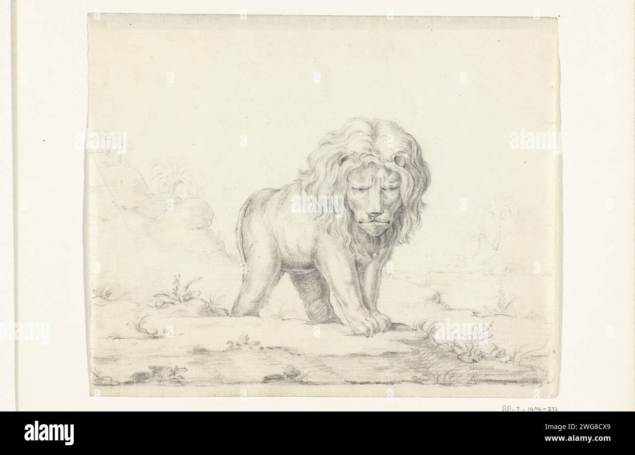 Lion running after prey hi-res stock photography and images - Alamy