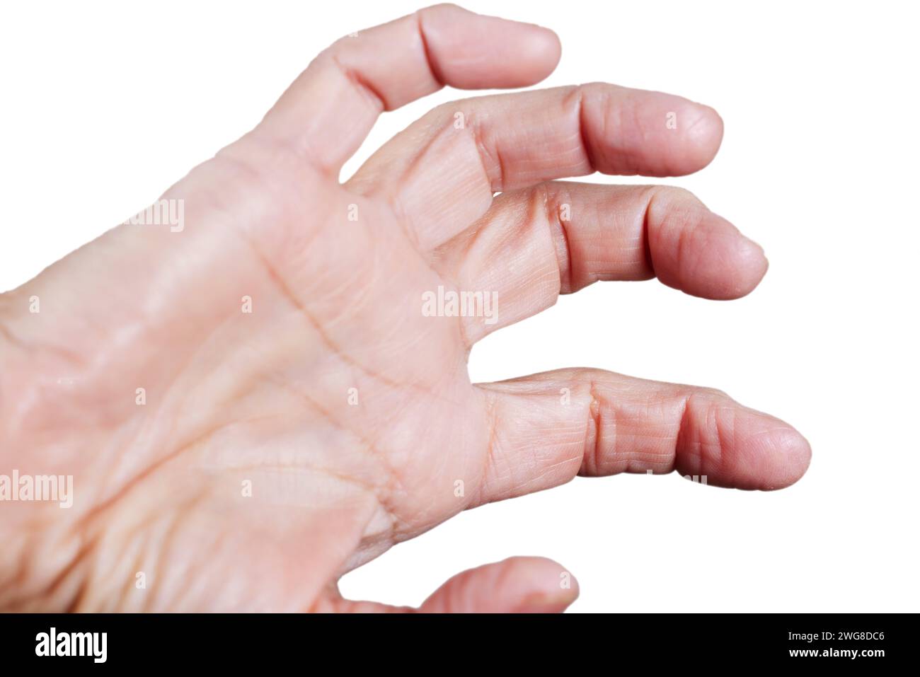 Close up of Palm of hand with fingers and knuckles bent over Stock ...
