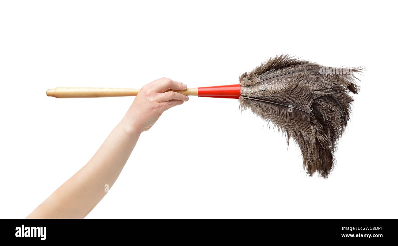 Girl with feather duster hi-res stock photography and images - Alamy