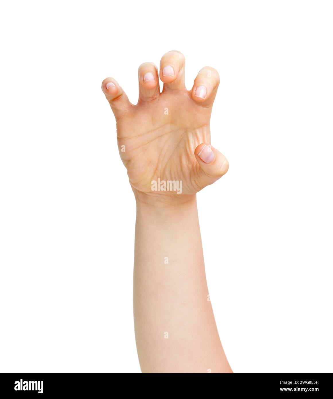 Woman hand in claw gesture on a white isolated background Stock Photo ...