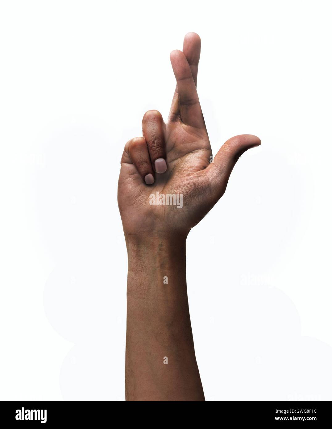 Man hand crossing fingers on a white isolated background Stock Photo ...
