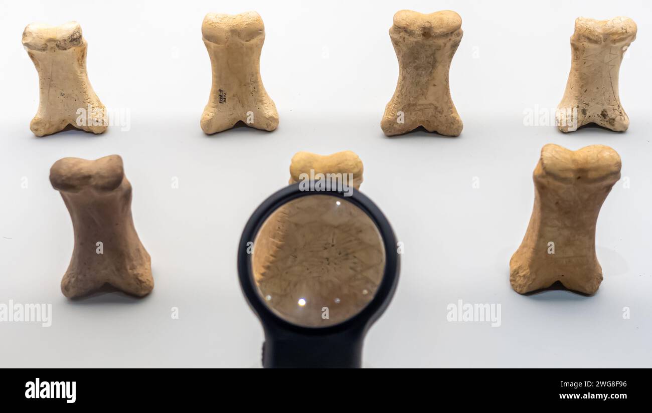 Neolithic horse hi-res stock photography and images - Alamy