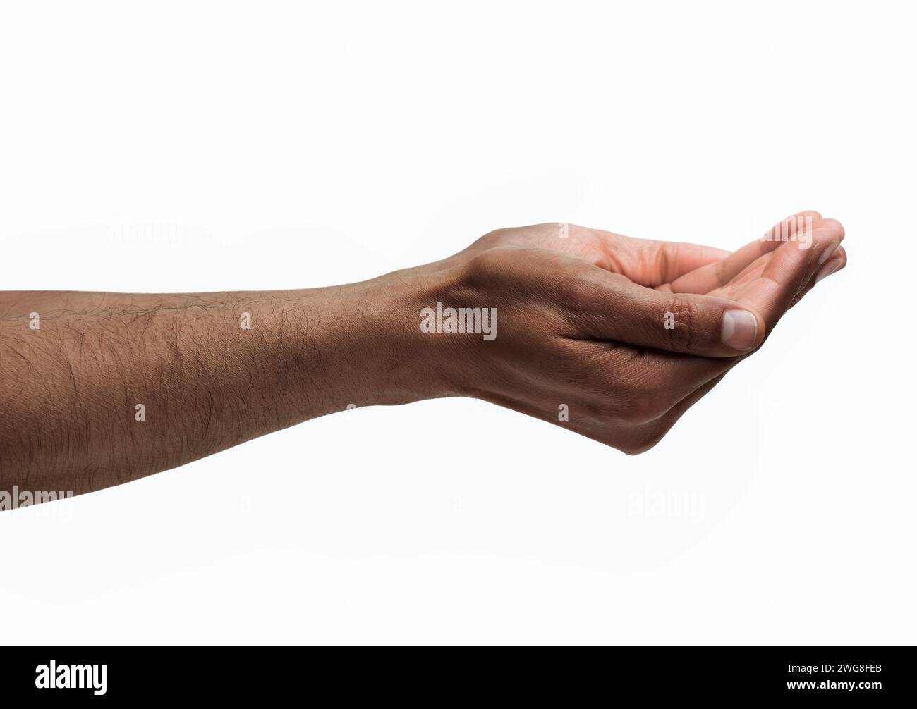 Man cupped hands on a white isolated background Stock Photo - Alamy