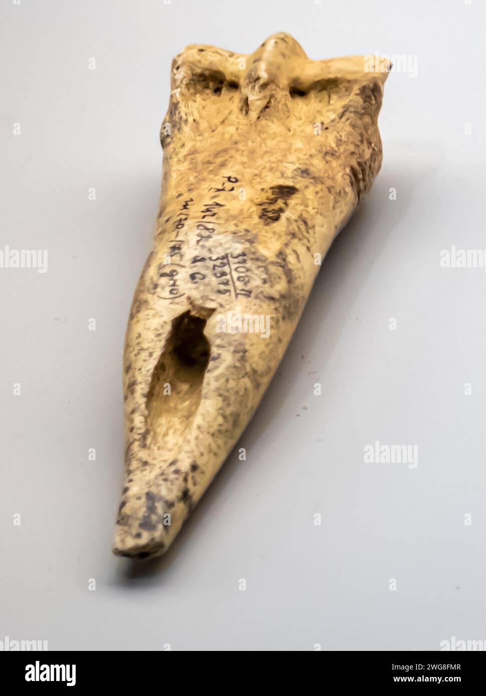 Tool for manufacturing animal skin, bone, carving, 4th - 3rd Millenium ...