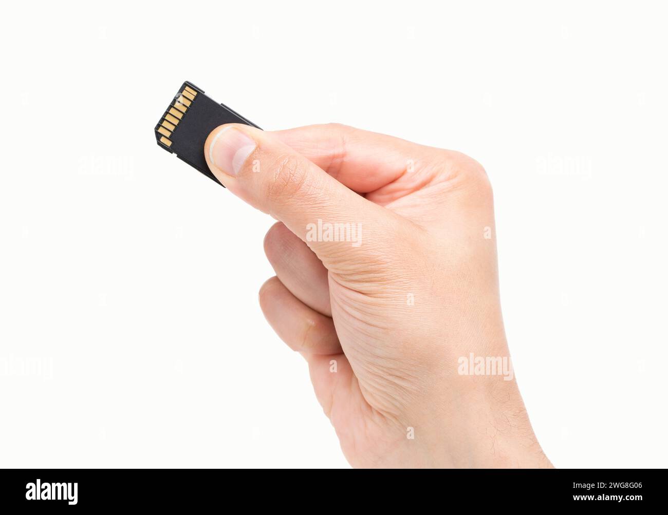 Man hand holding a sd memory card isolated on a white background Stock ...