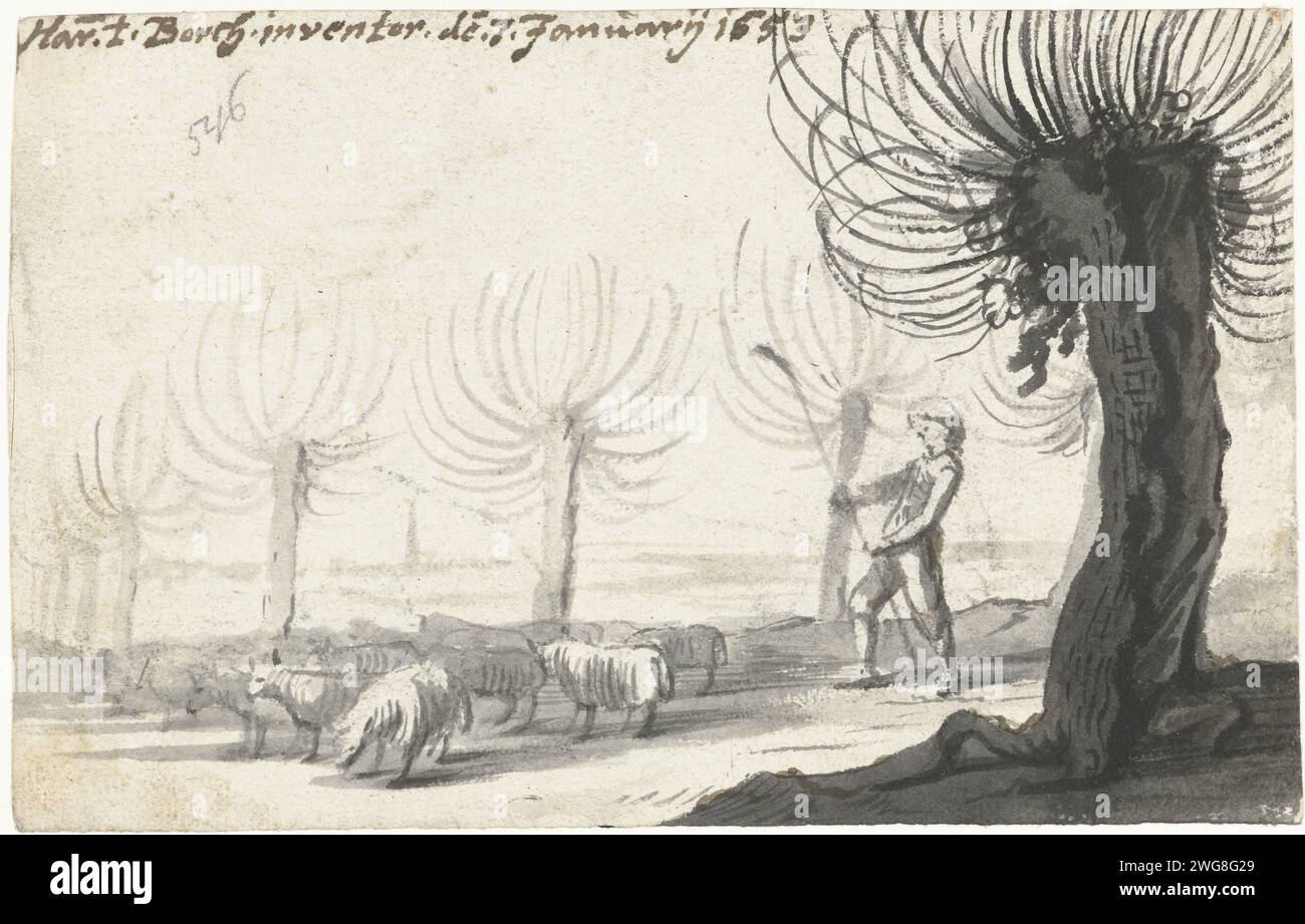 Shepherd with staff, standing next to sheep and willows, 1653 drawing ...