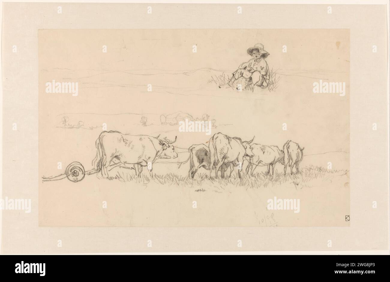 Six ox team hi-res stock photography and images - Alamy