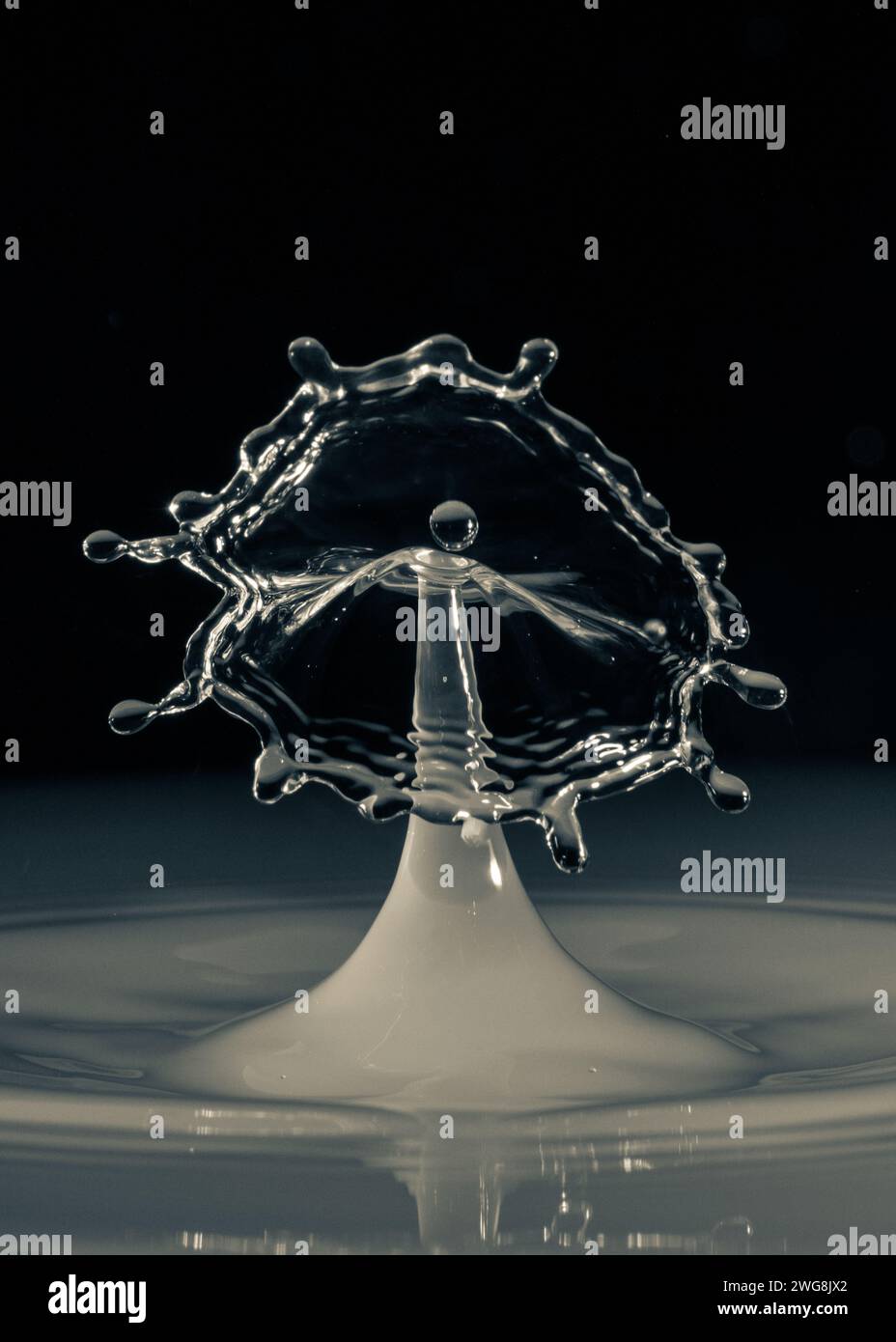 Abstract, splash art water drop collision photography Stock Photo - Alamy