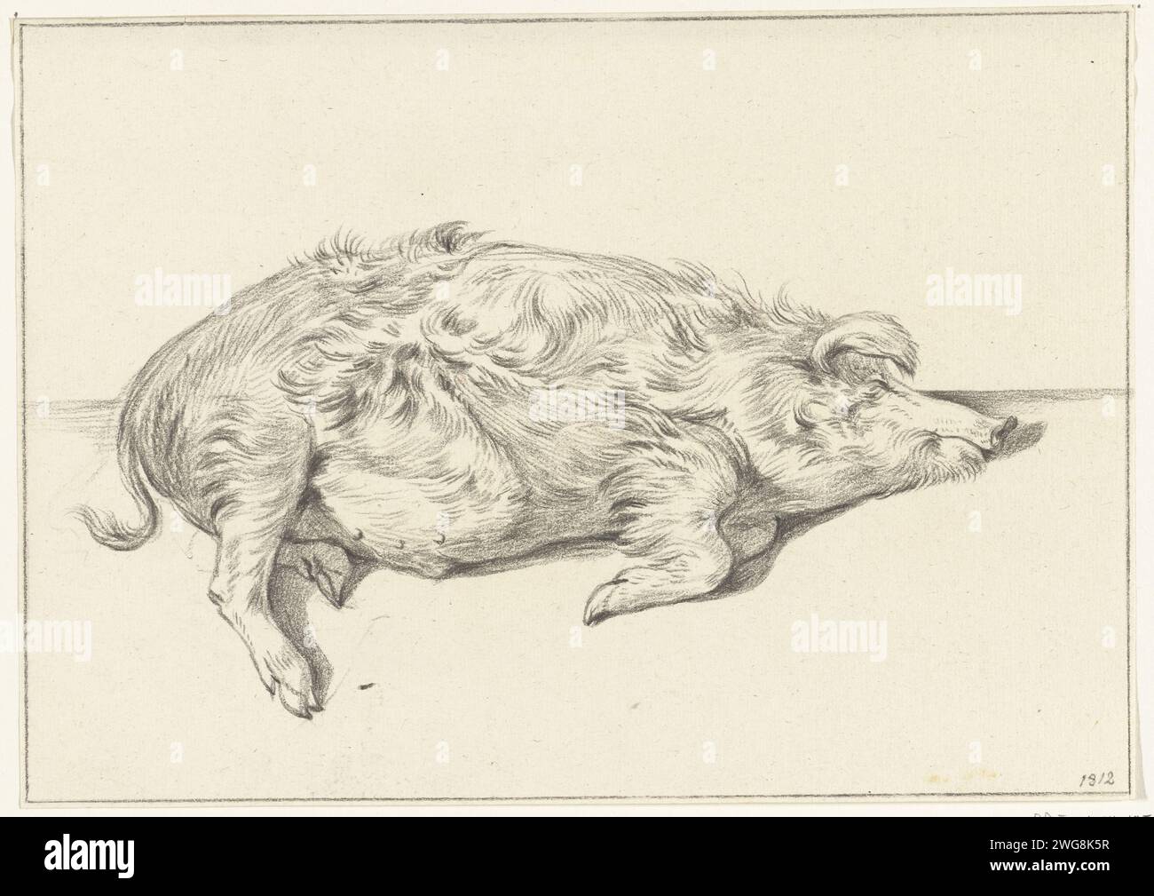 Lying pig, to the right, Jean Bernard, 1812 drawing paper. chalk pig ...