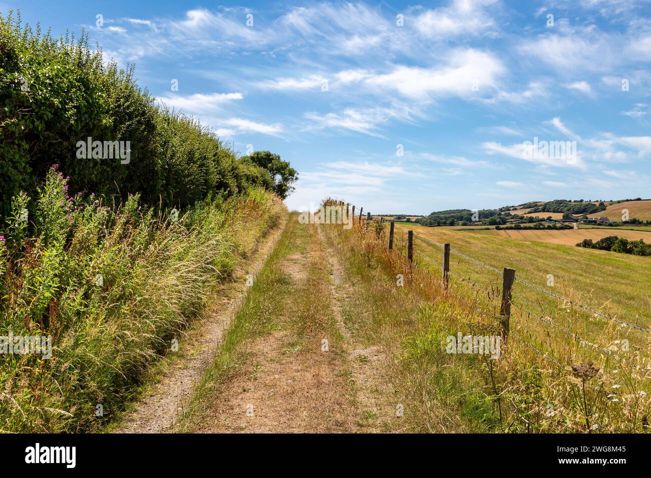 A pathway leading up hill, in the Isle of Wight countryside Stock Photo ...