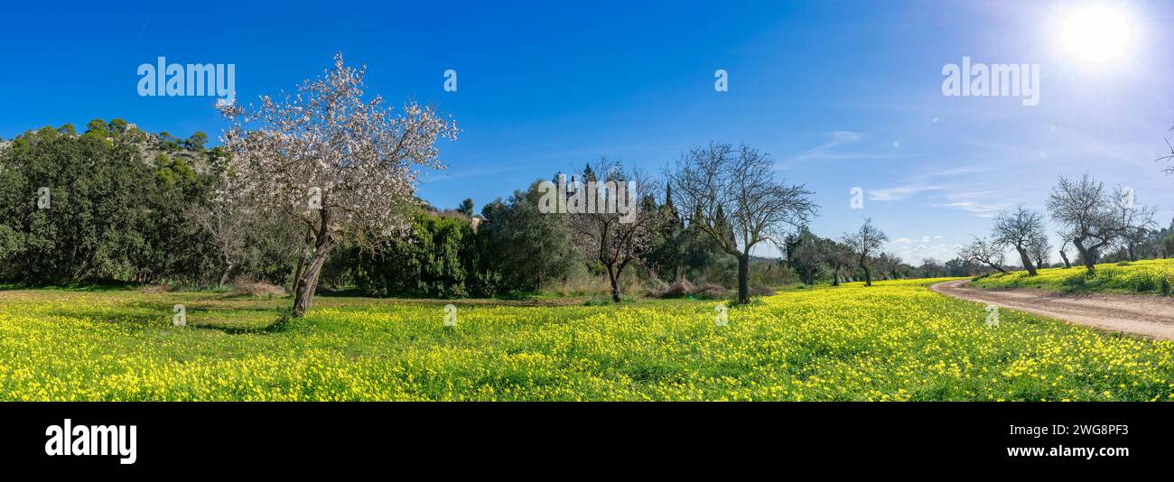 Expansive panoramic scene featuring hi-res stock photography and images ...