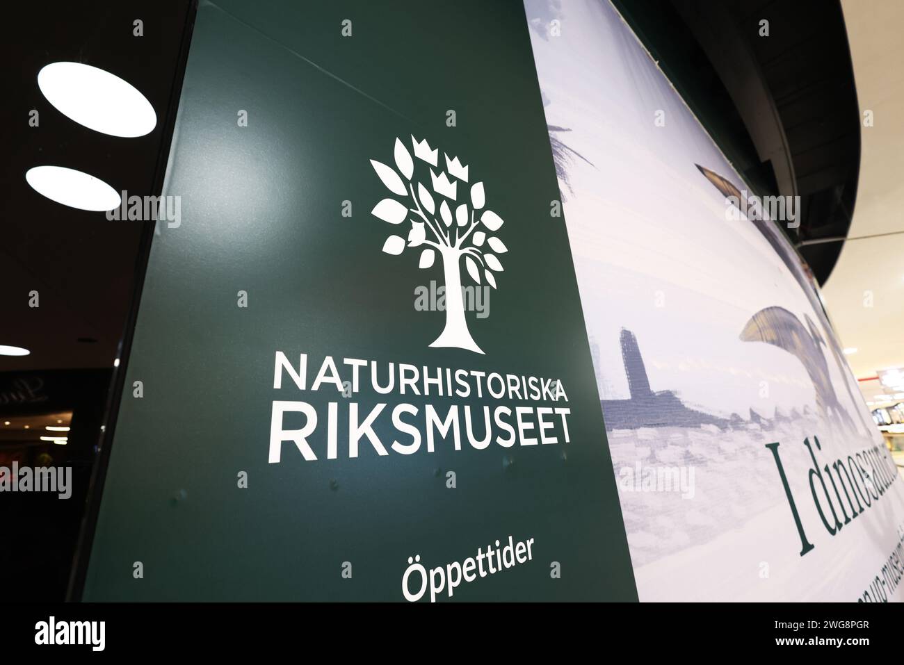 Pop up museum, The Swedish Museum of Natural History, (In swedish ...