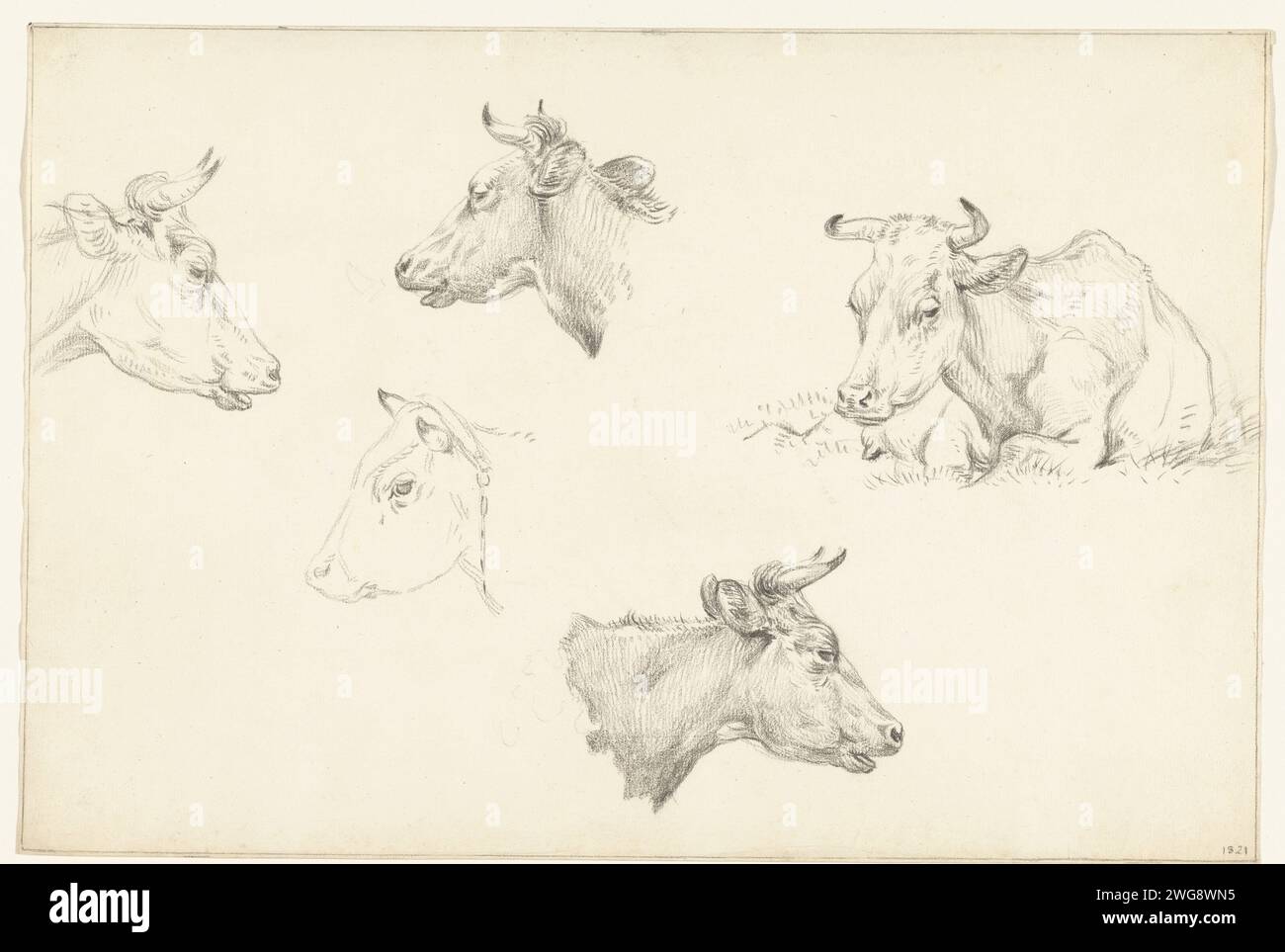 Four studies of the head of a cow and a lying cow, Jean Bernard, 1821 ...