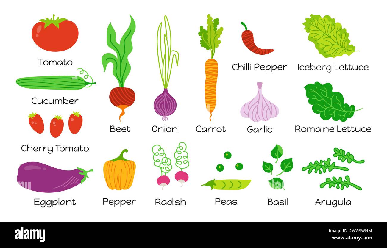Vegetables with inscriptions cartoon set. Childish drawing vegetable ...