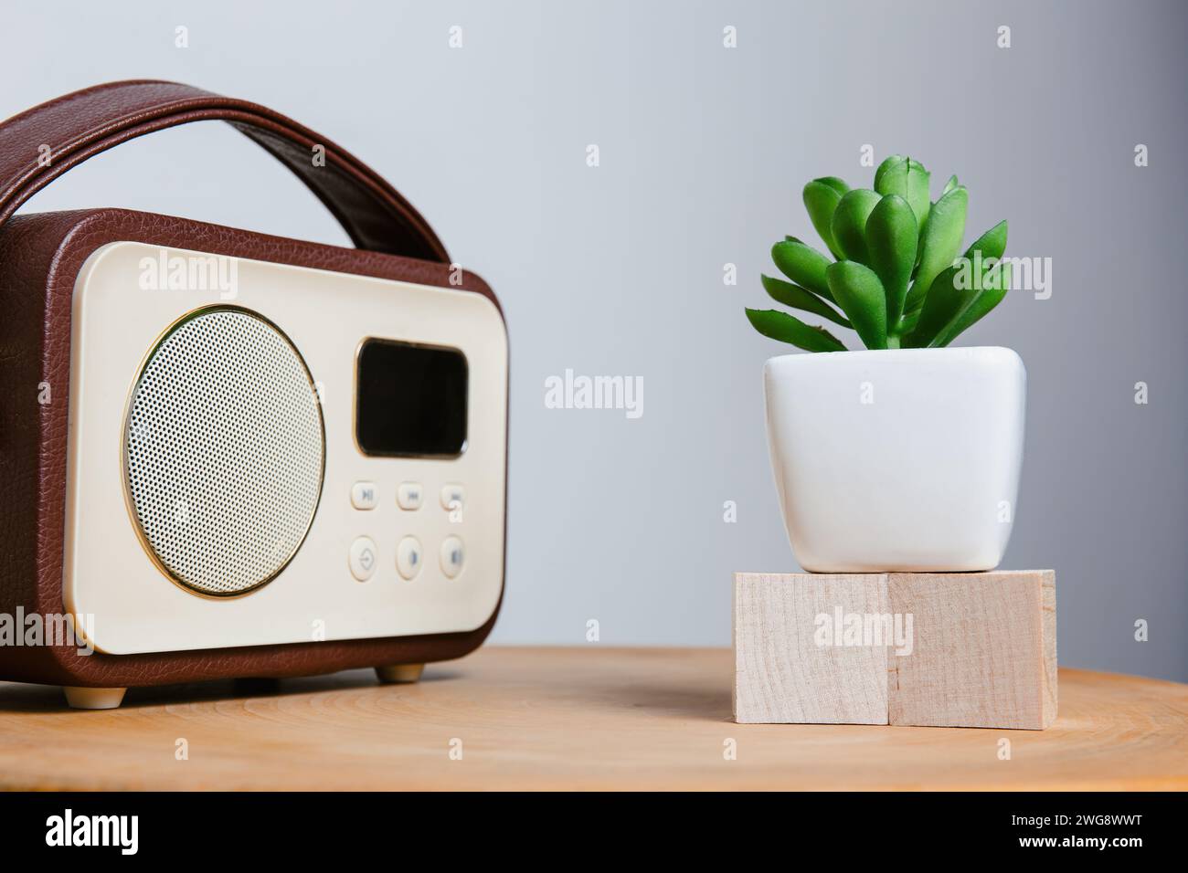 A vintage-style radio alongside a lush green succulent plant, perched ...