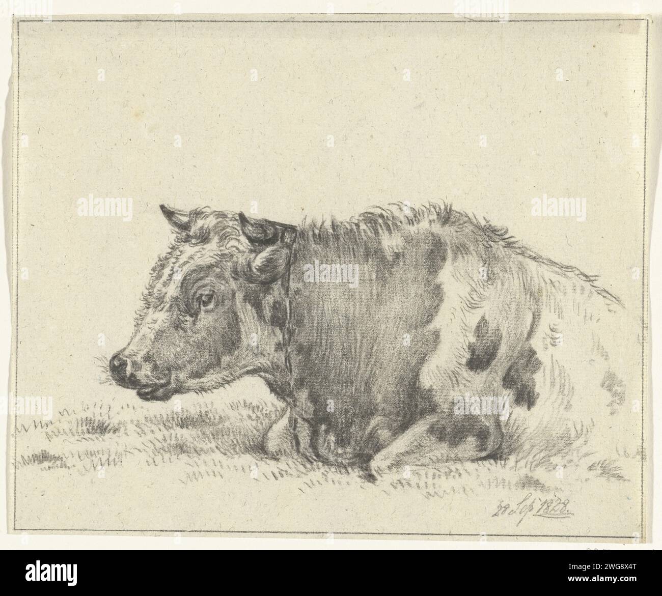 Lying cow, to the left, Jean Bernard, 1828 drawing paper. pencil. chalk ...