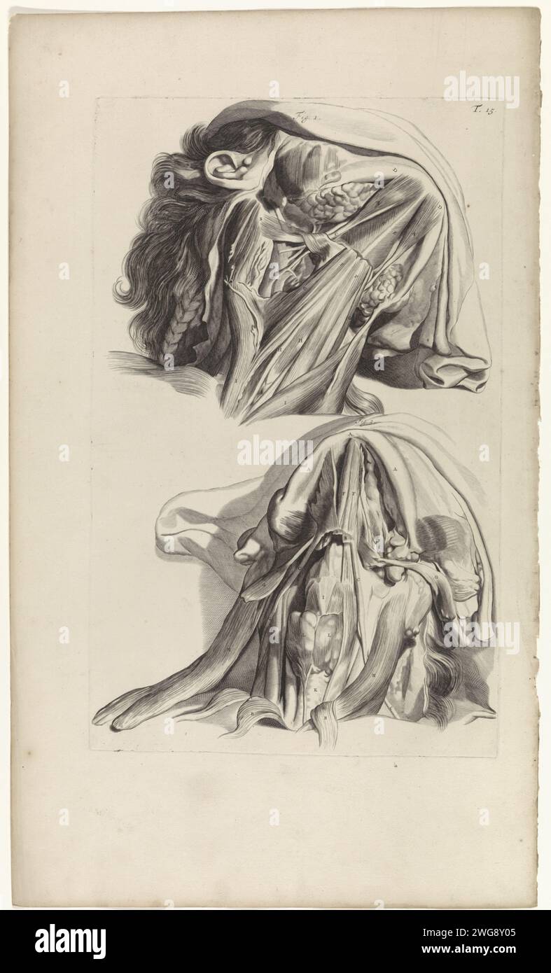 Anatomical study of the neck and the jaw, Pieter van Gunst, After ...