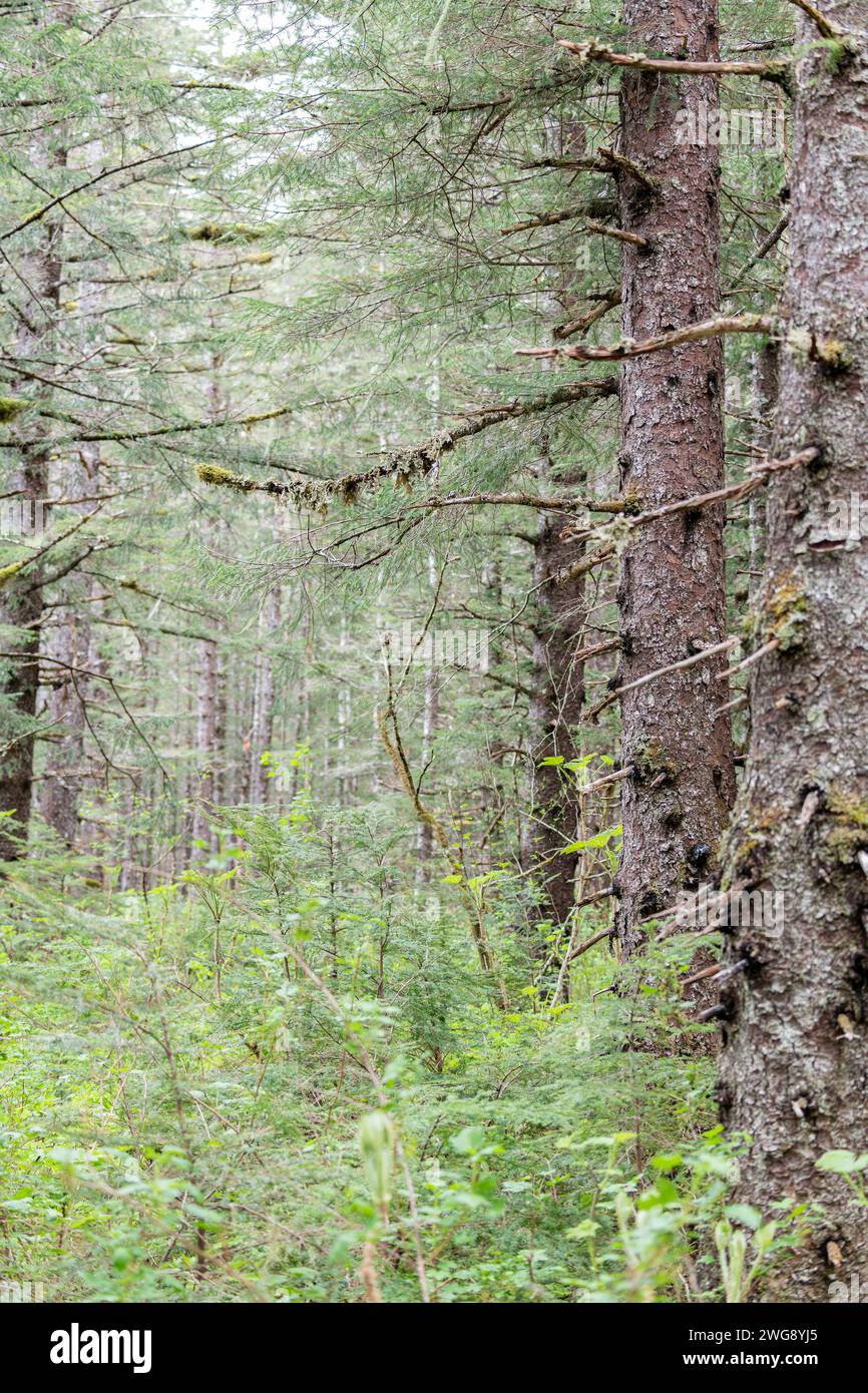 William henry bay hi-res stock photography and images - Alamy