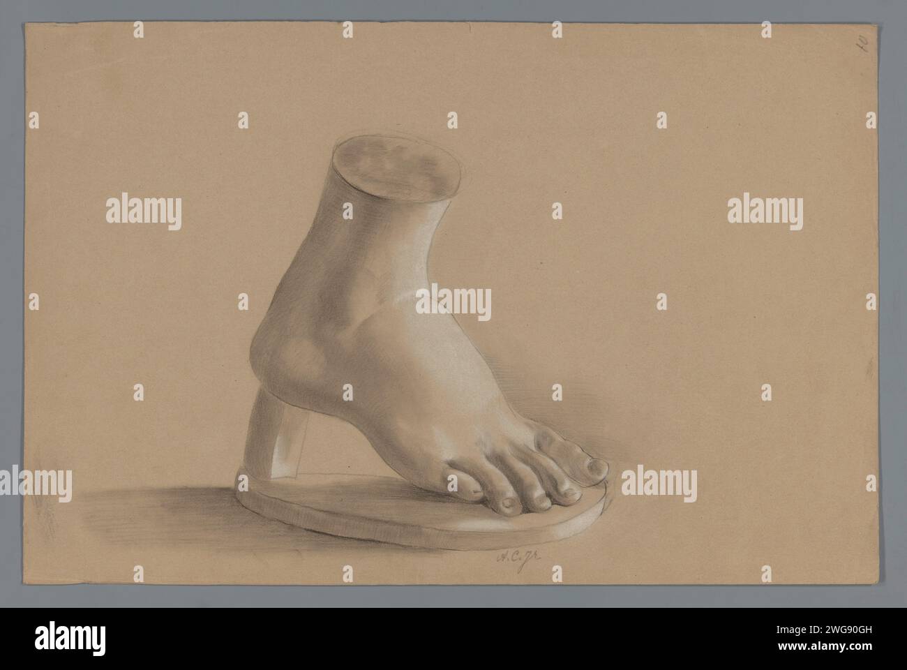 GIPS Model of a foot, Alexander Cranendoncq, c. 1800 - c. 1900 drawing ...