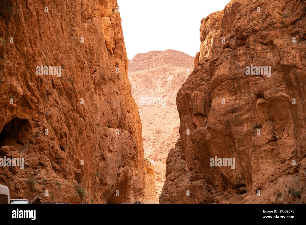 Todra Gorge, Morocco Stock Photo - Alamy