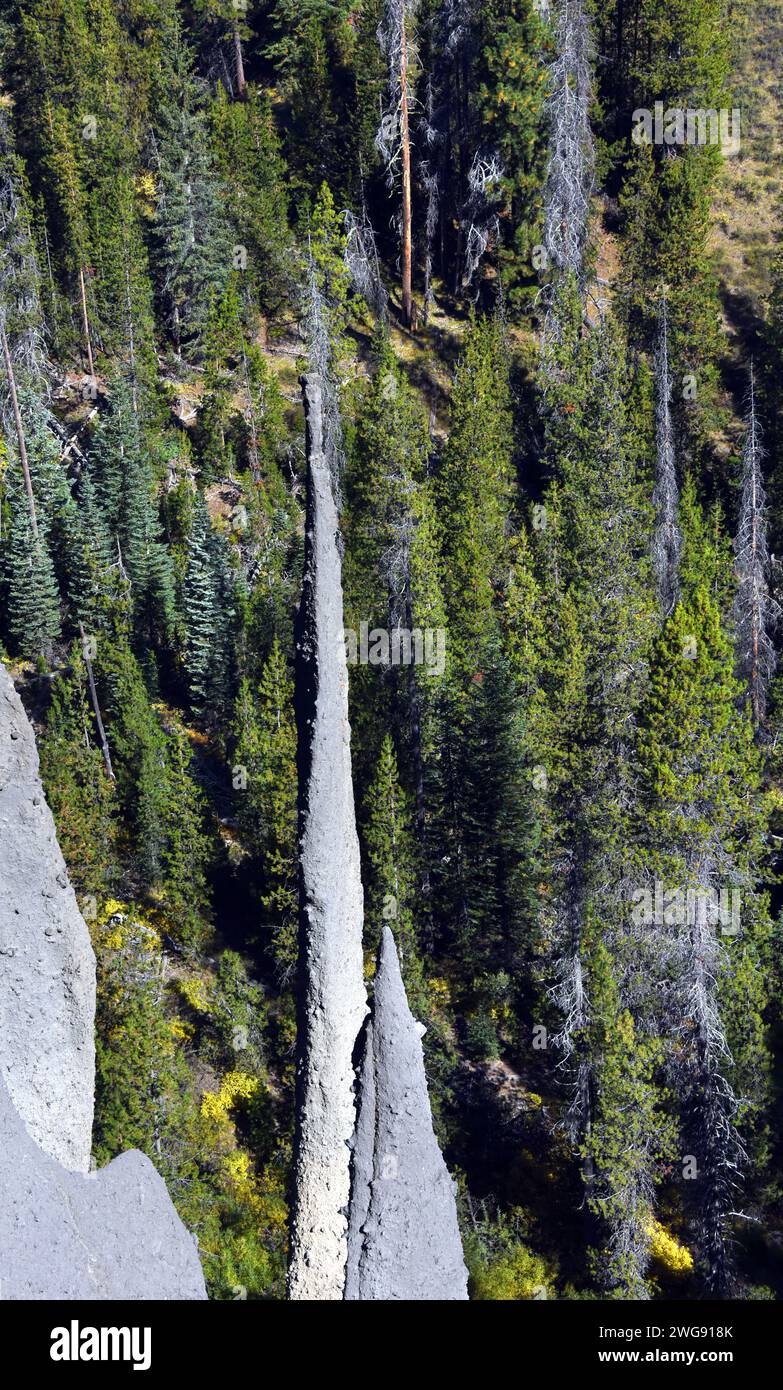 Needle spire, at Pinnacles Overlook, in Crater Lake National Park, tall ...